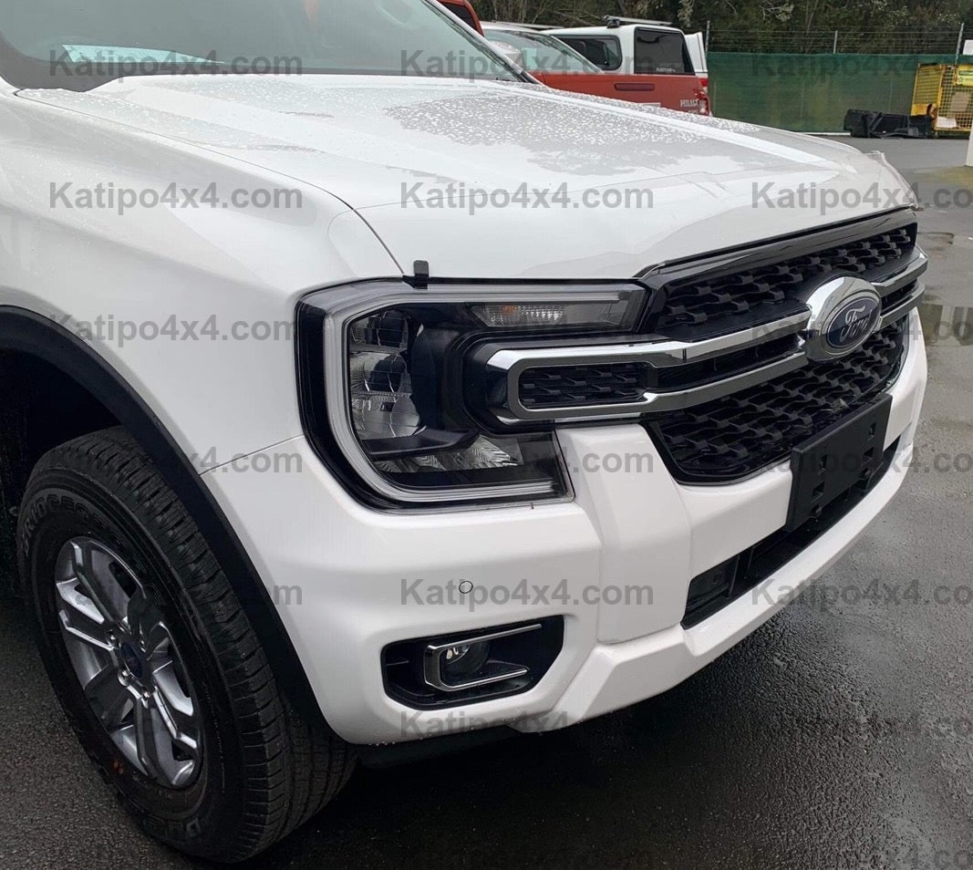 NEXT-GEN - BONNET GUARD TINTED / CLEAR / SILVER ( N.Z MADE ) NZ ONLY ...